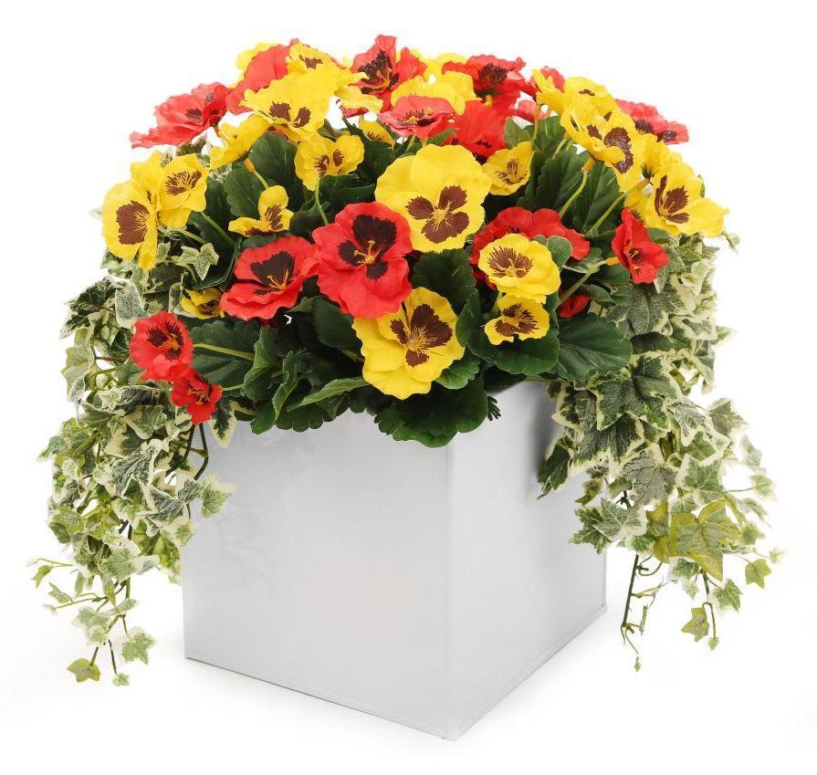 Planter Displays | Closer2Nature