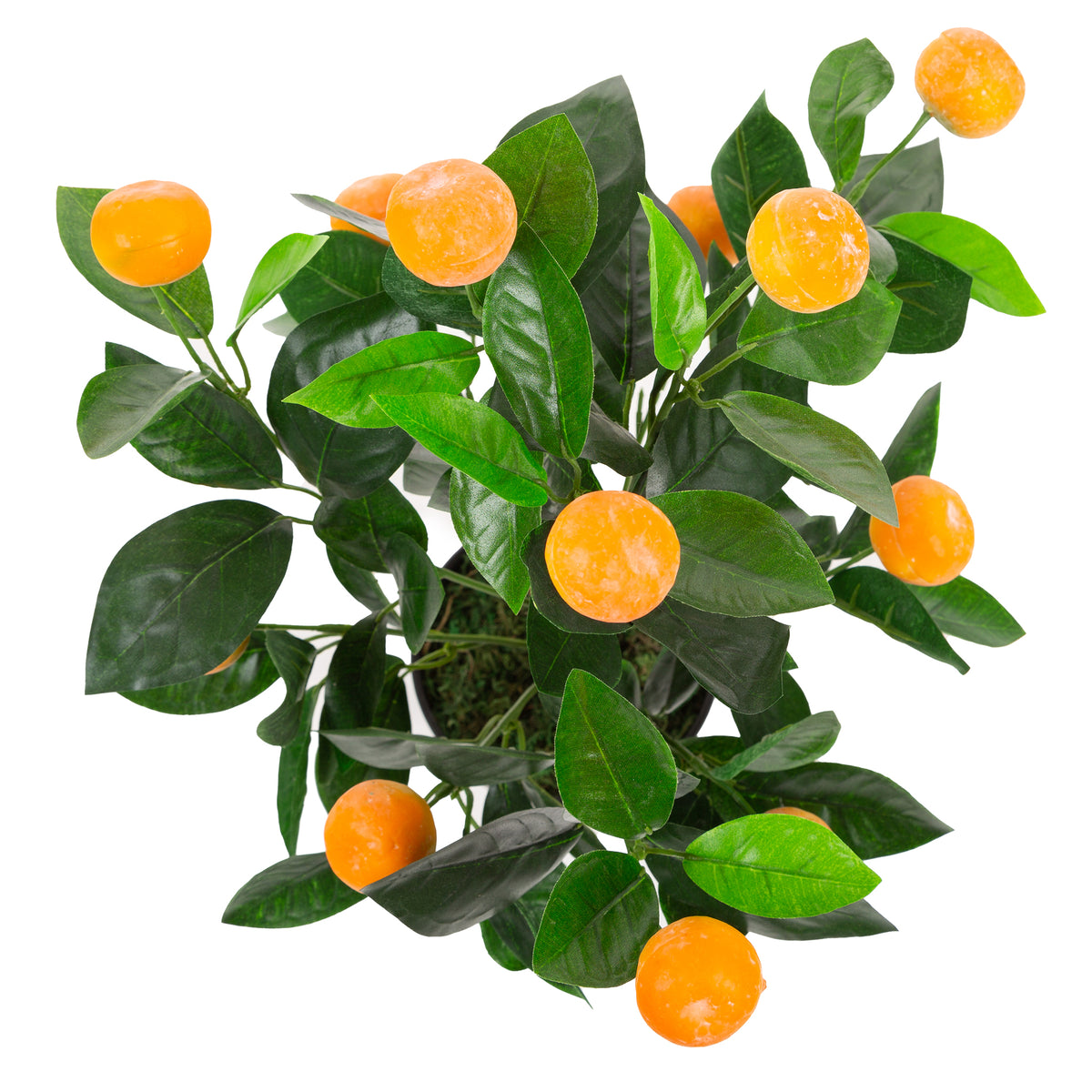 Artificial Mini Orange Tree | Closer2Nature