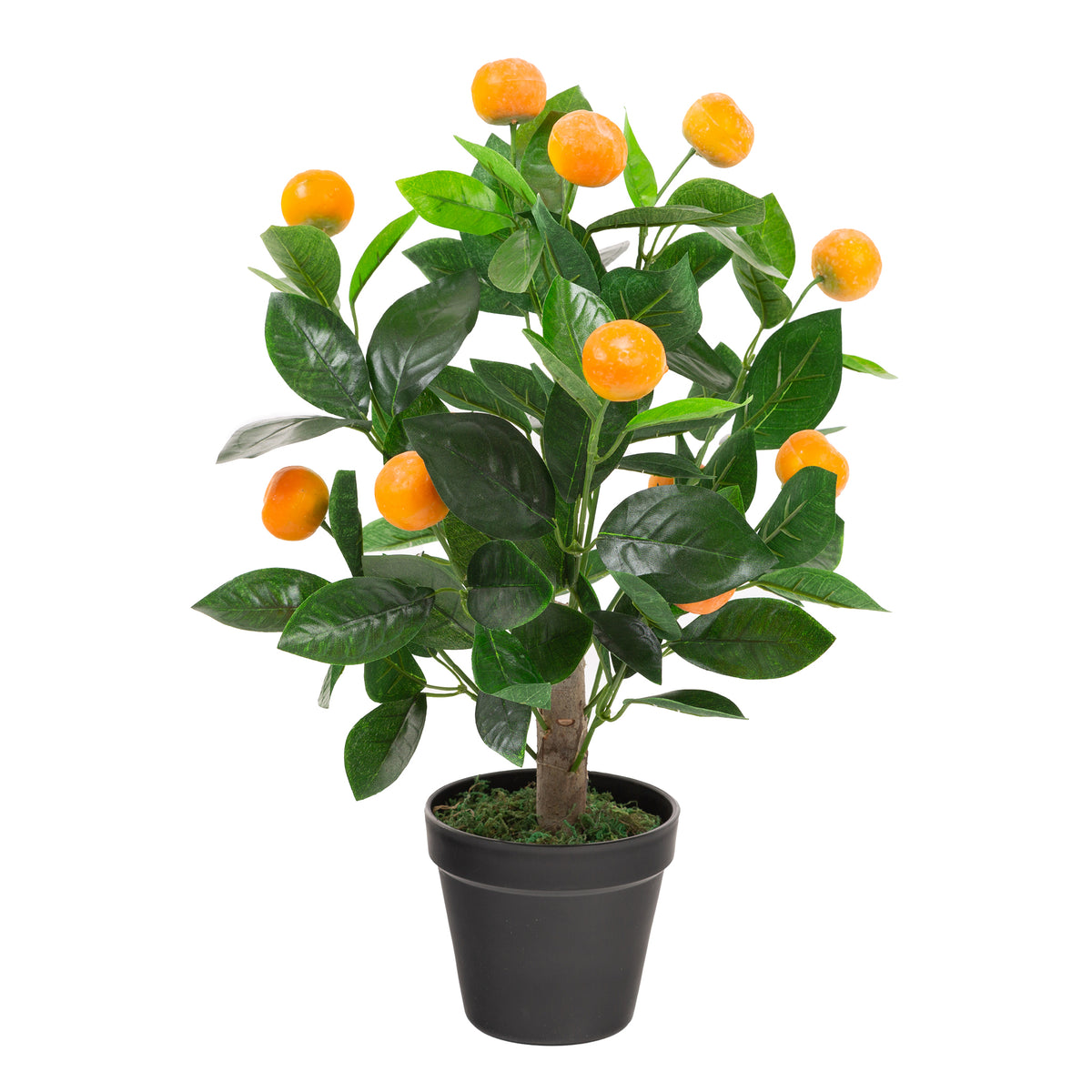 Artificial Mini Orange Tree | Closer2Nature
