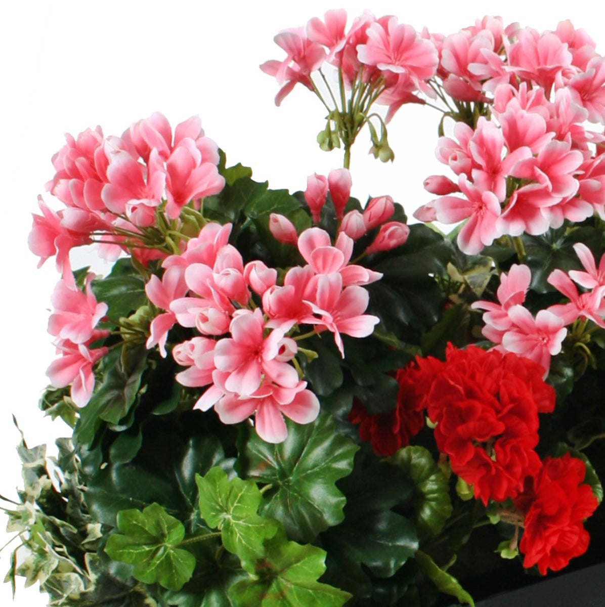 Artificial 35cm Red and Pink Geranium Display in a 50cm Basalt Black ...