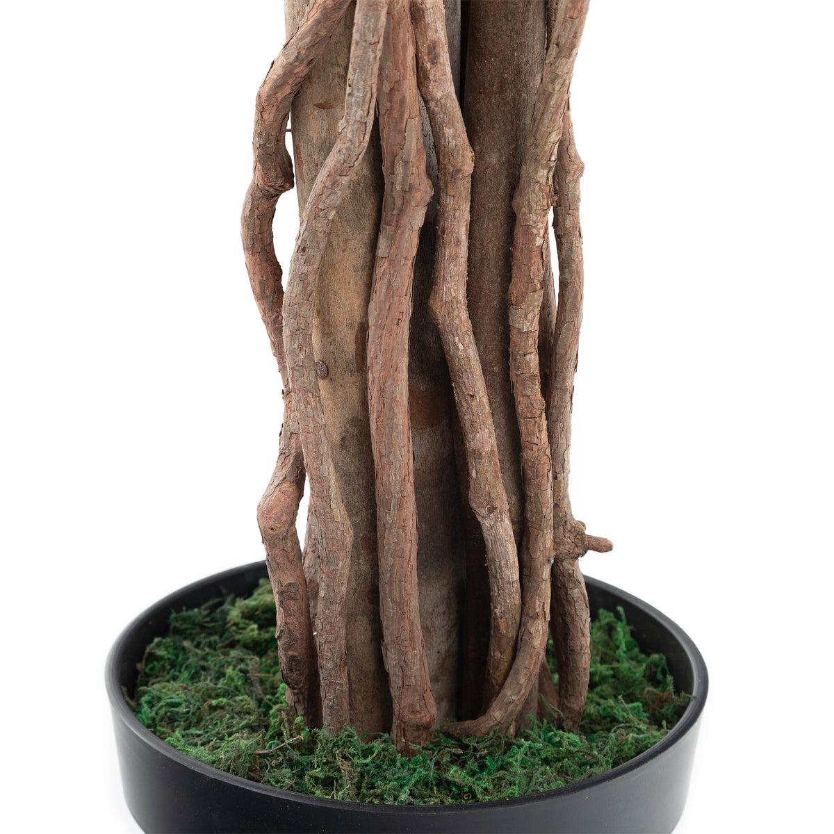 Artificial 6ft Weeping Fig Tree with Twisted Stem | Closer2Nature