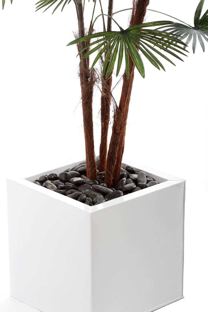 Artificial 5ft Finger Palm Tree | Closer2Nature